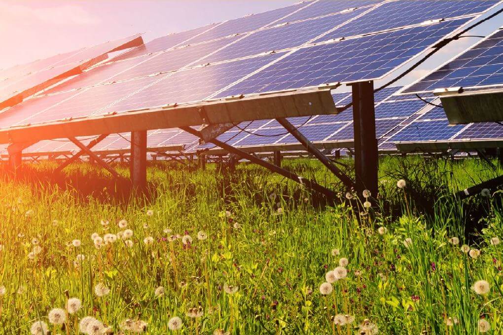 Zon en natuur - Natuur en Milieu Gelderland
