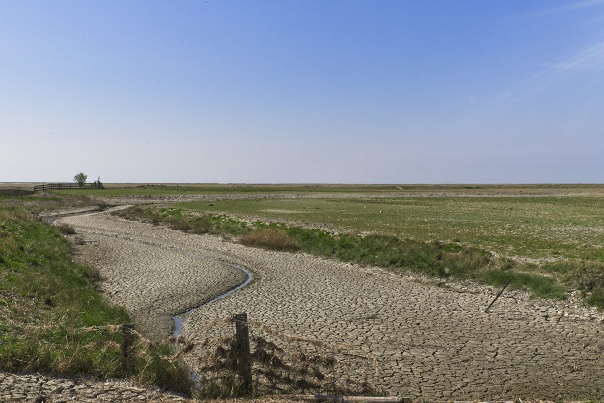 Water en droogte - Natuur en Milieu Gelderland