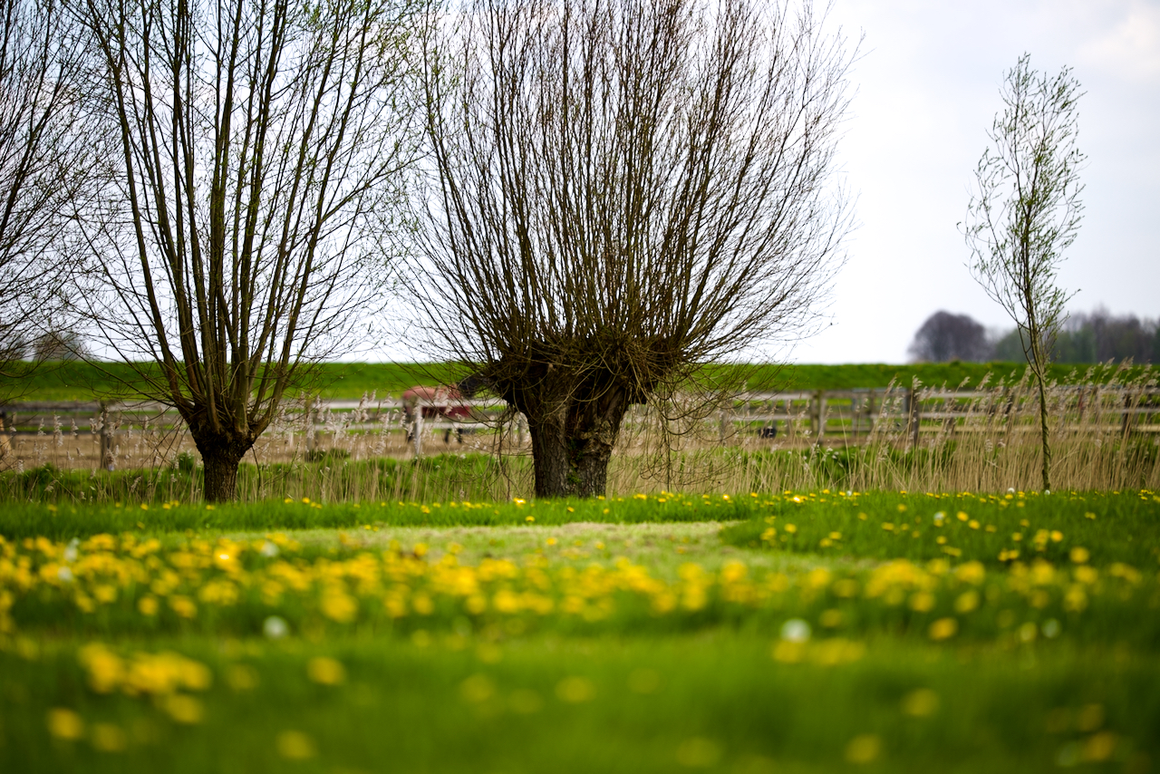 Onze toegevoegde waarde voor Gelderland - Natuur en Milieu Gelderland