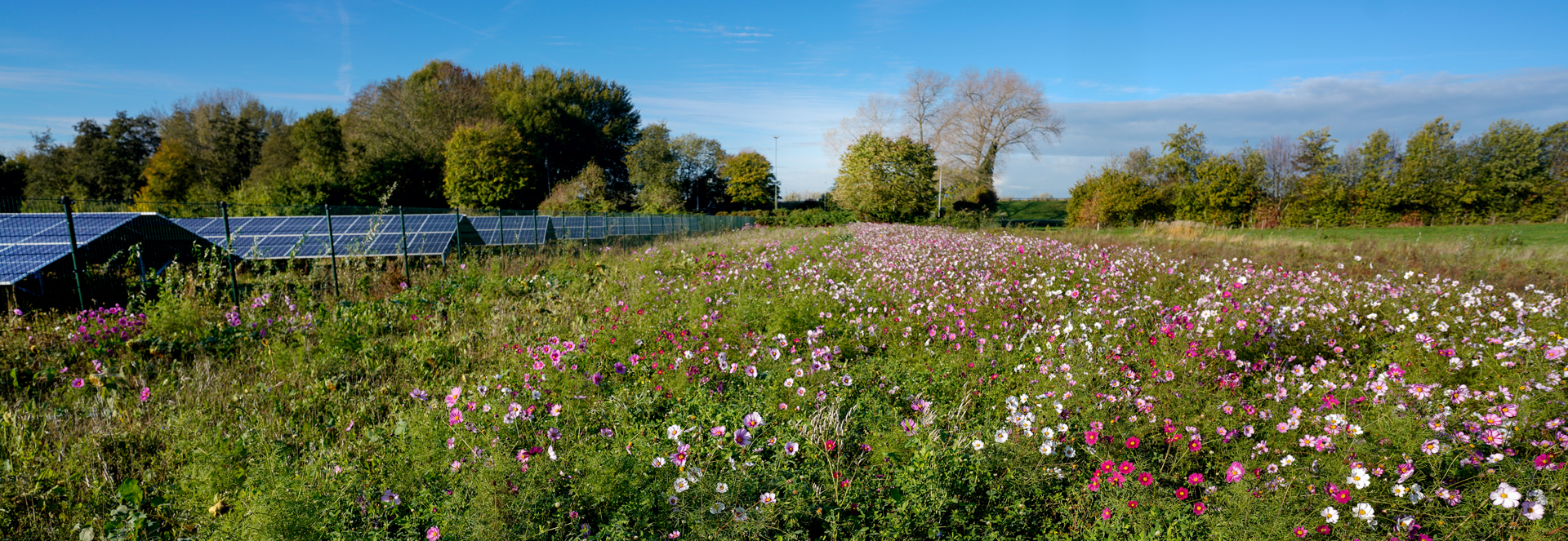 Sturen op natuurinclusieve wind- en zonneparken - Natuur en Milieu ...