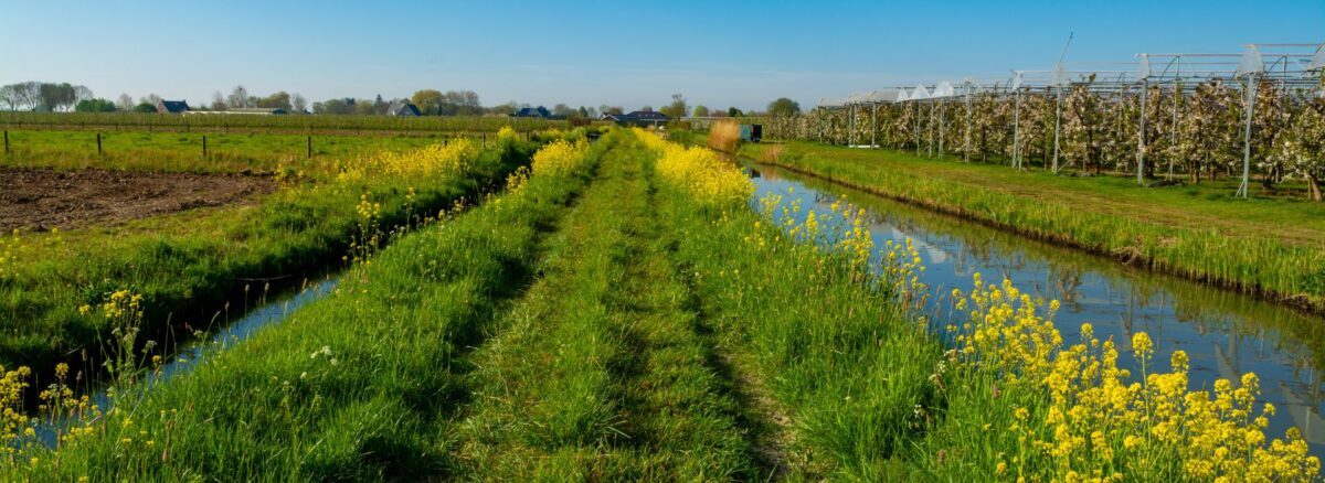 Provincie, pak de regie op doelen voor schoon water - Natuur en Milieu ...
