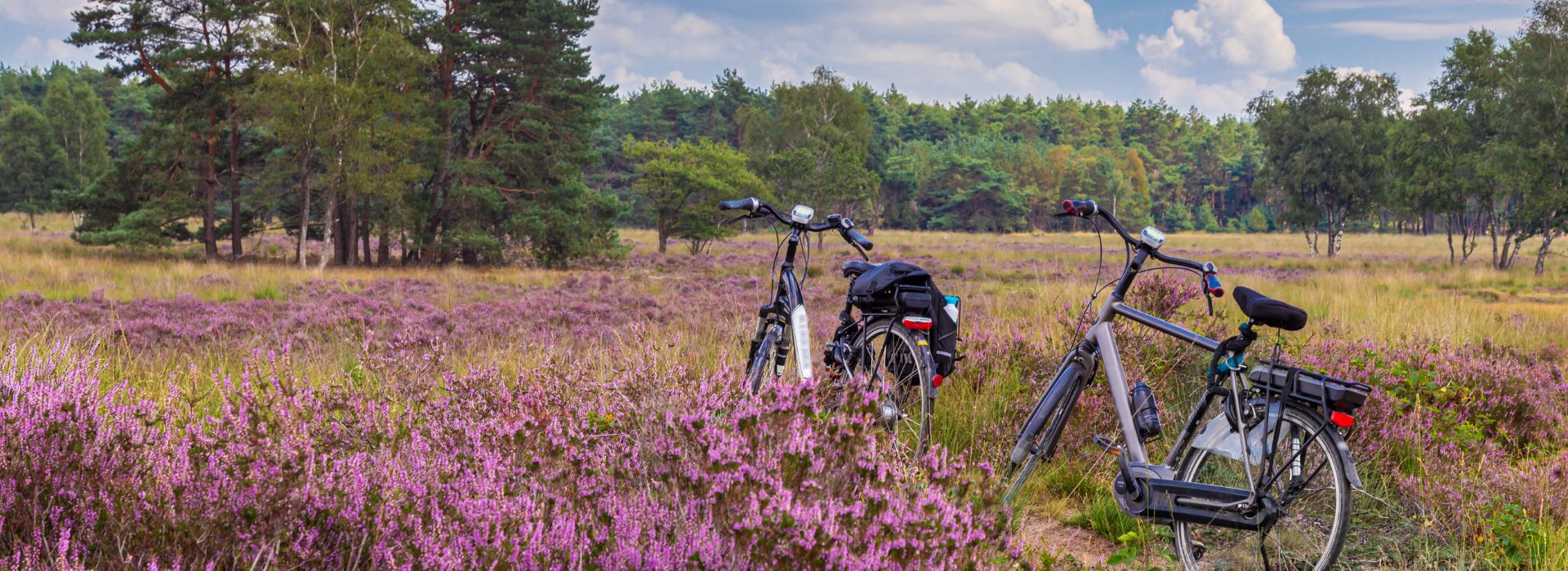 Inbreng Recreatie en toerisme - Natuur en Milieu Gelderland