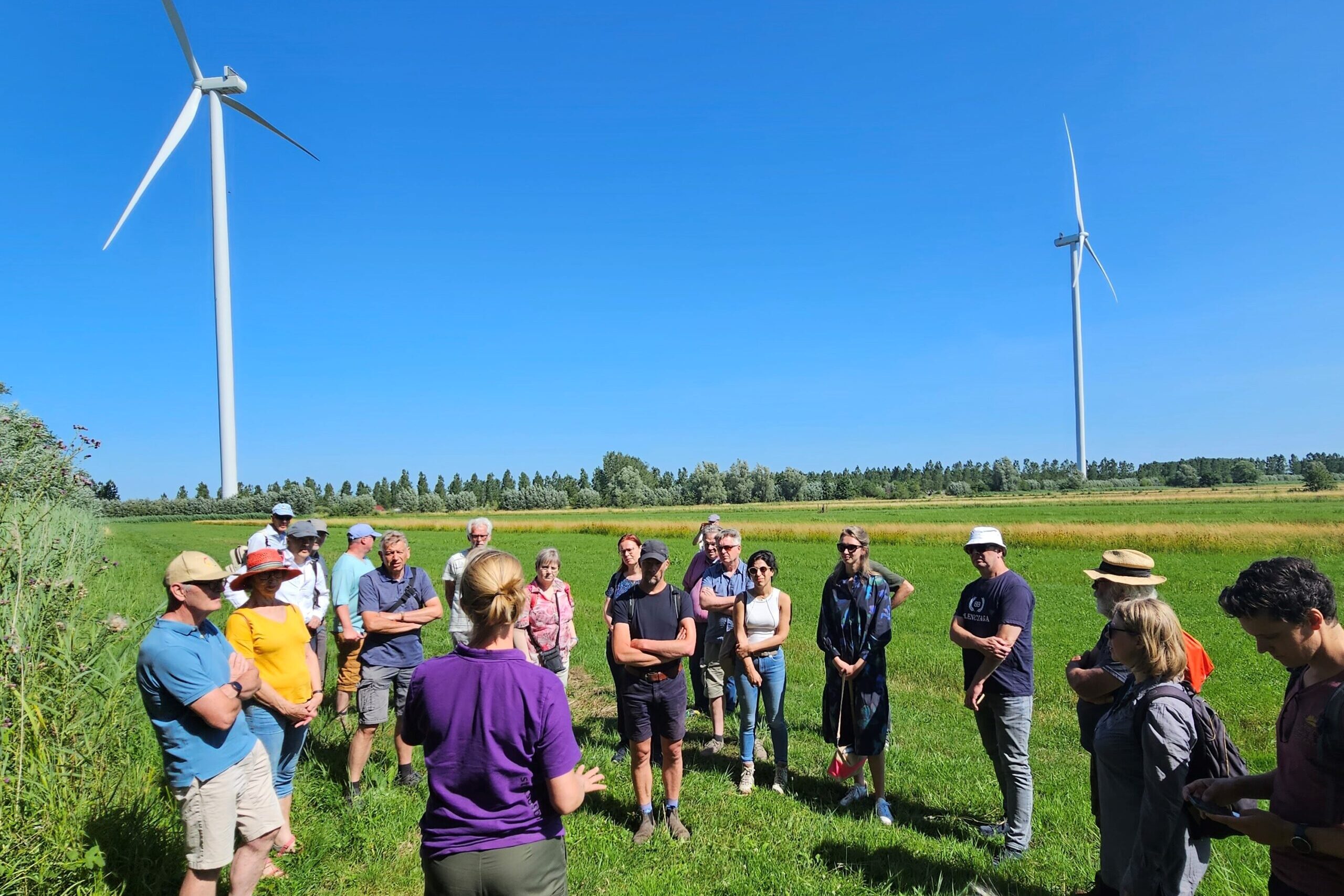 Energieboswachters: op zoek naar balans tussen wind, zon en natuur ...